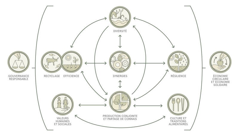 Our approach - Medae